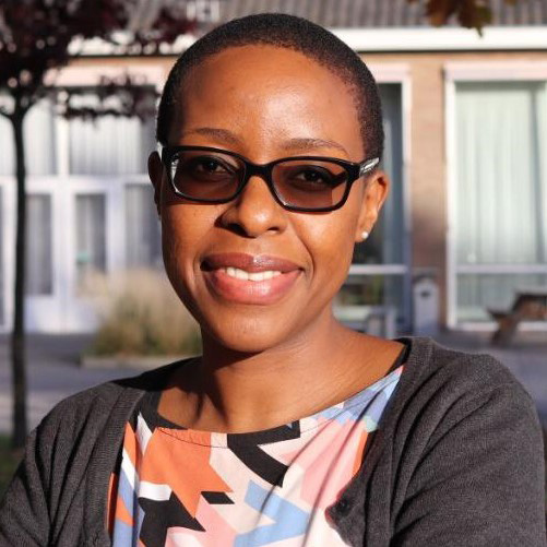 About | Sustainability Transitions Research Network